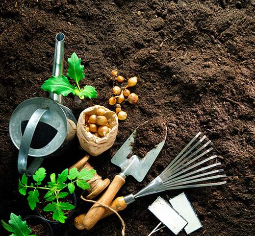 Tools of Peace – Adult Christian Formation