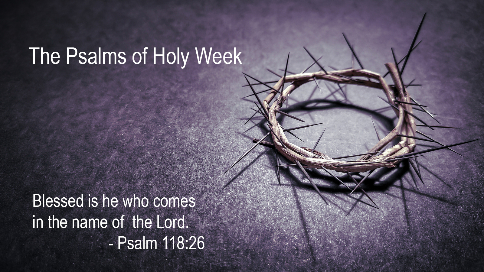 Lent Season,holy Week And Good Friday Concepts – Photo Of Crown – Adult ...